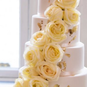 Wedding Photos and Videos | BridalGuide